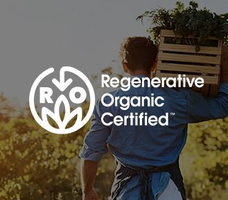 About SCS - Latin America | SCS Global Services